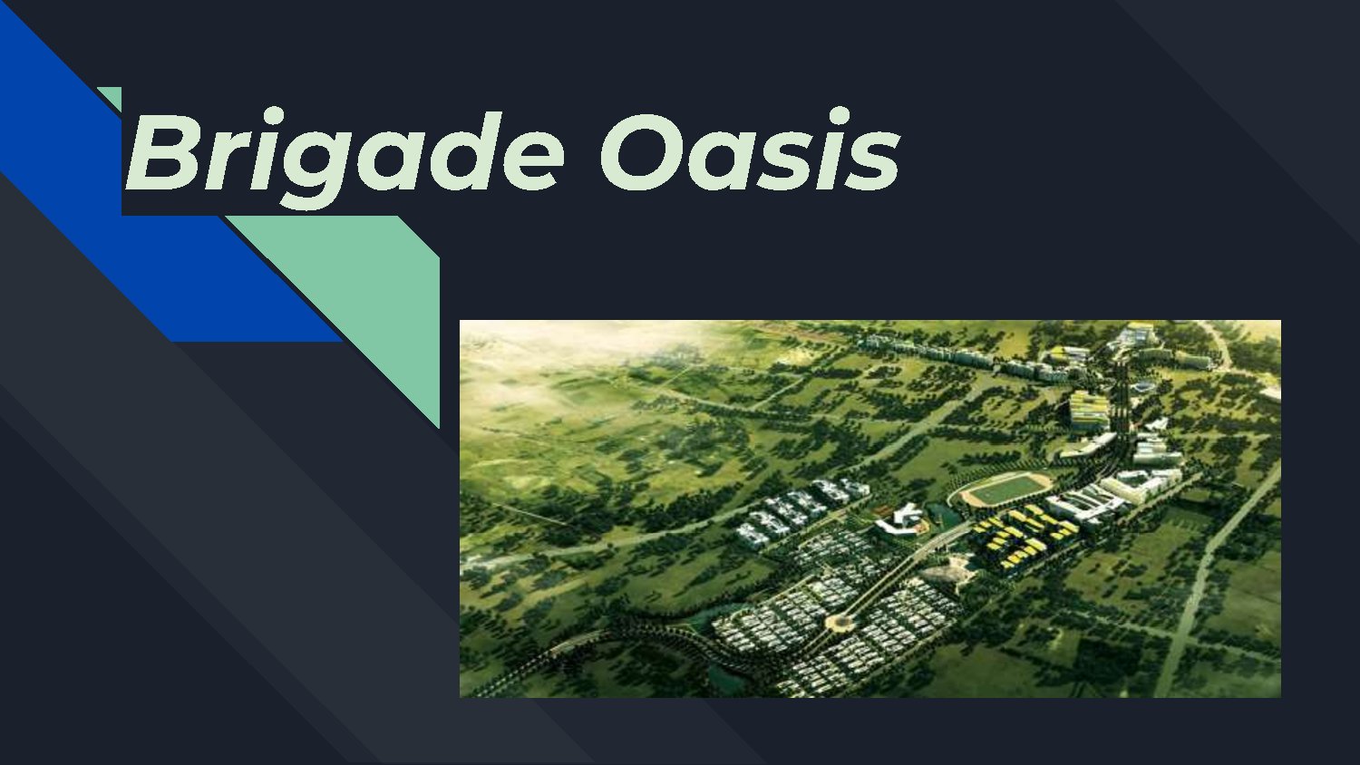 Brigade Oasis
