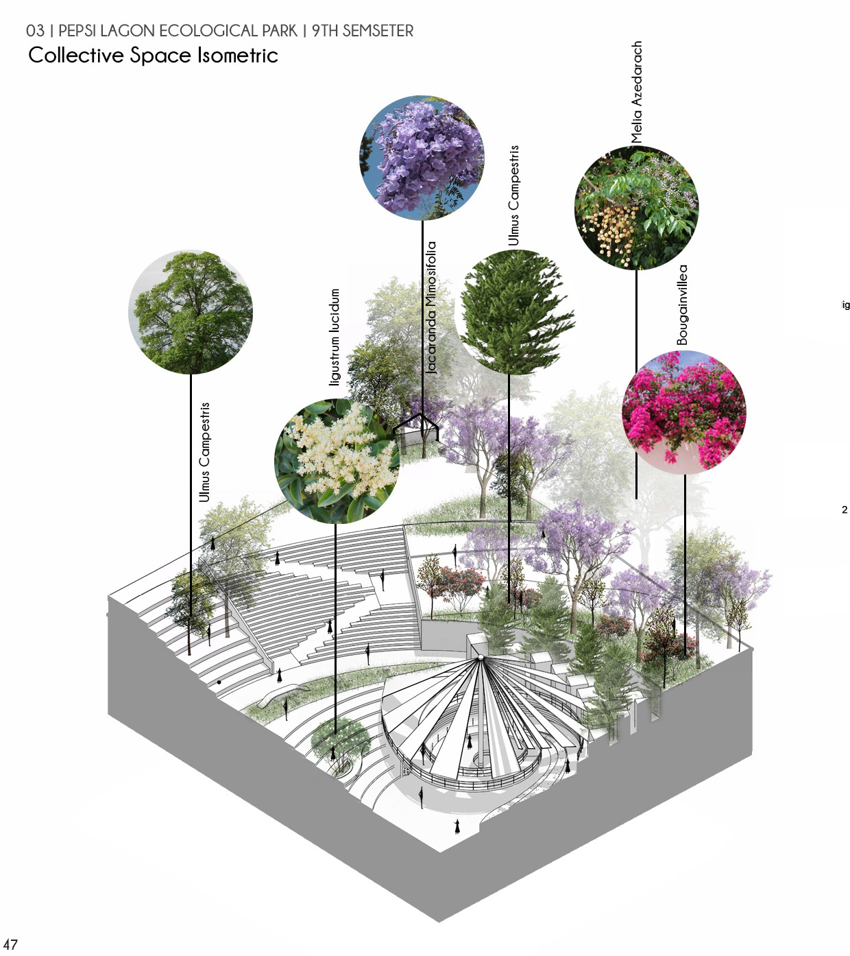 Abdullah Saleh - portfolio V1 (50/94)